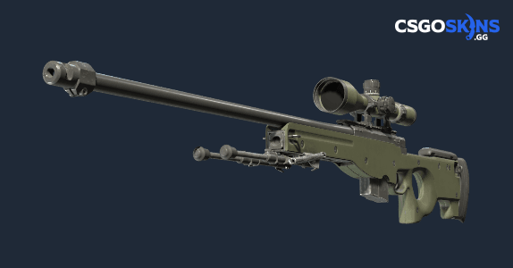 The Best Cheap AWP Skins Under $1 - CSGOSKINS.GG