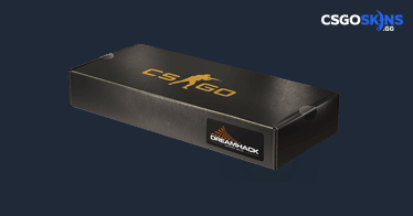 All CS2 Souvenir Packages - CSGOSKINS.GG
