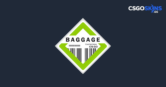 The Baggage Collection Skins - CSGOSKINS.GG