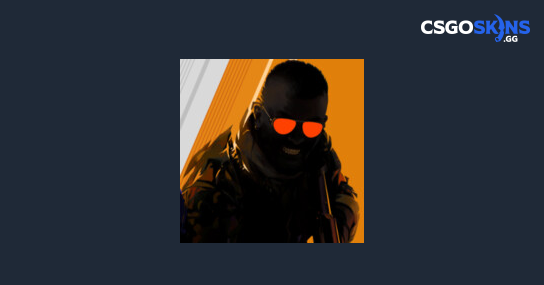 All CS2 Items From "floppy" - CSGOSKINS.GG