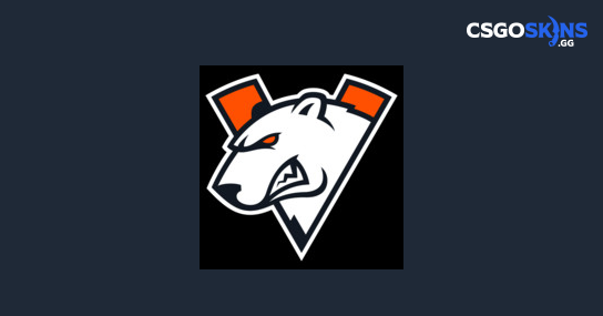 All CS2 Items From "Virtus.pro" - CSGOSKINS.GG