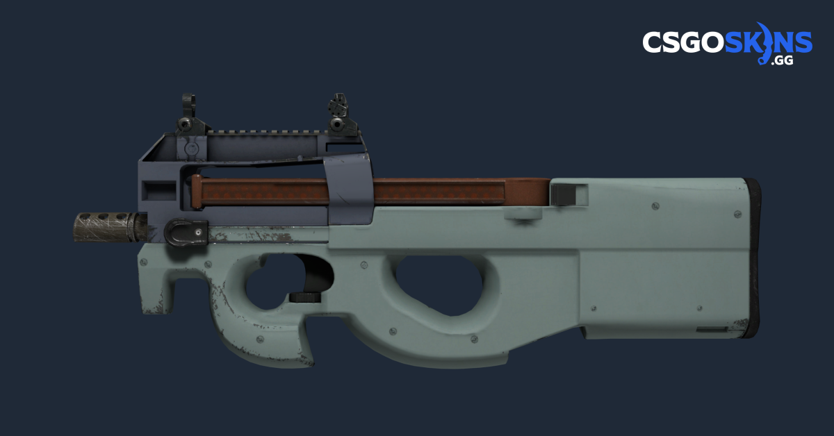 P90 | Storm - CSGOSKINS.GG