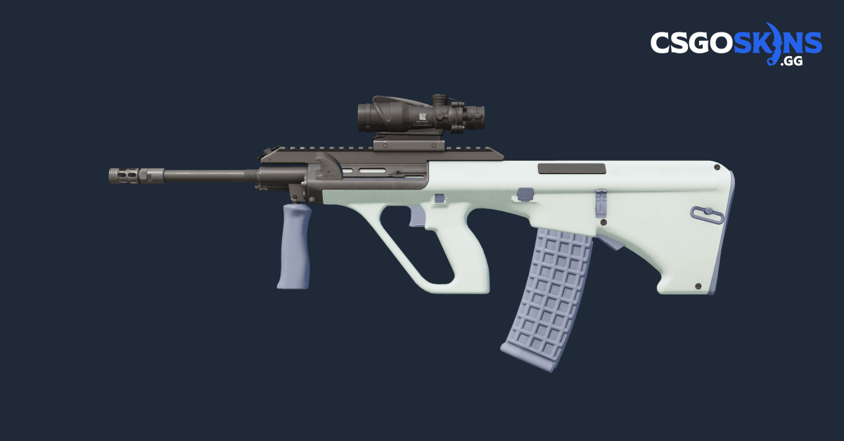 AUG | Storm - CSGOSKINS.GG