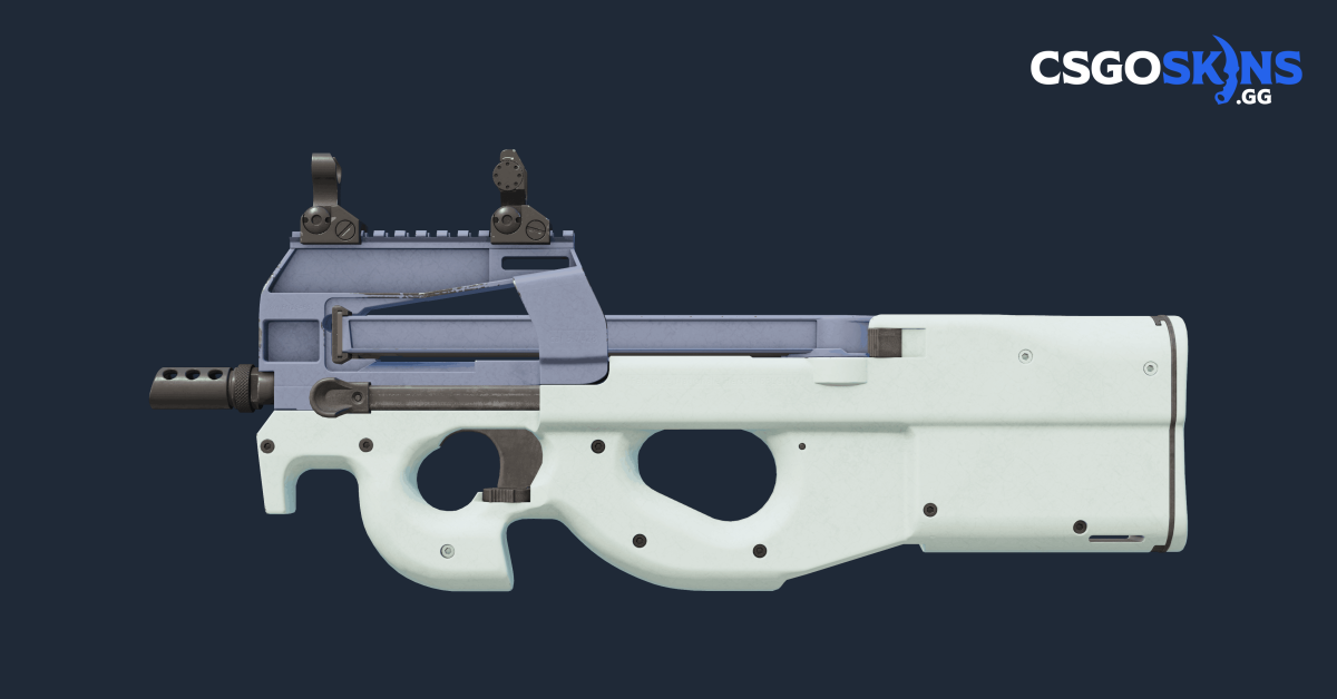 P90 | Storm - CSGOSKINS.GG
