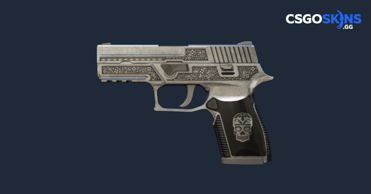 P250 | Cartel - CSGOSKINS.GG
