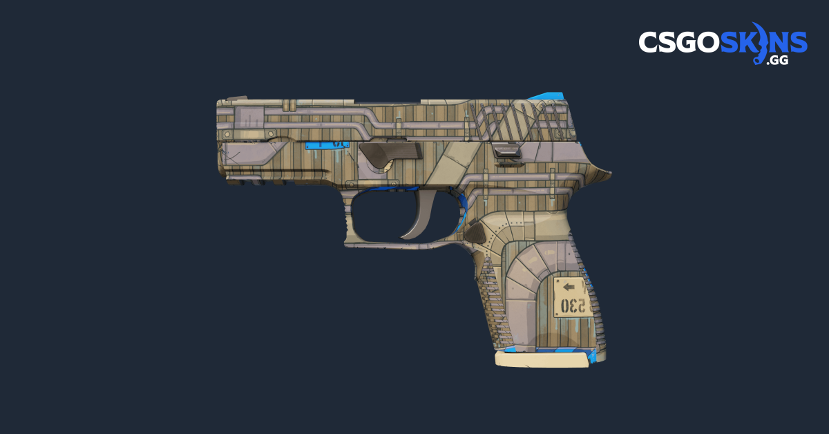P250 | Exchanger - CSGOSKINS.GG