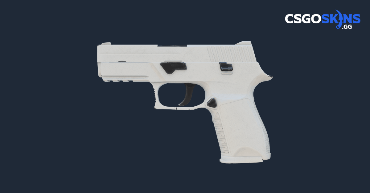 P250 | Whiteout - CSGOSKINS.GG