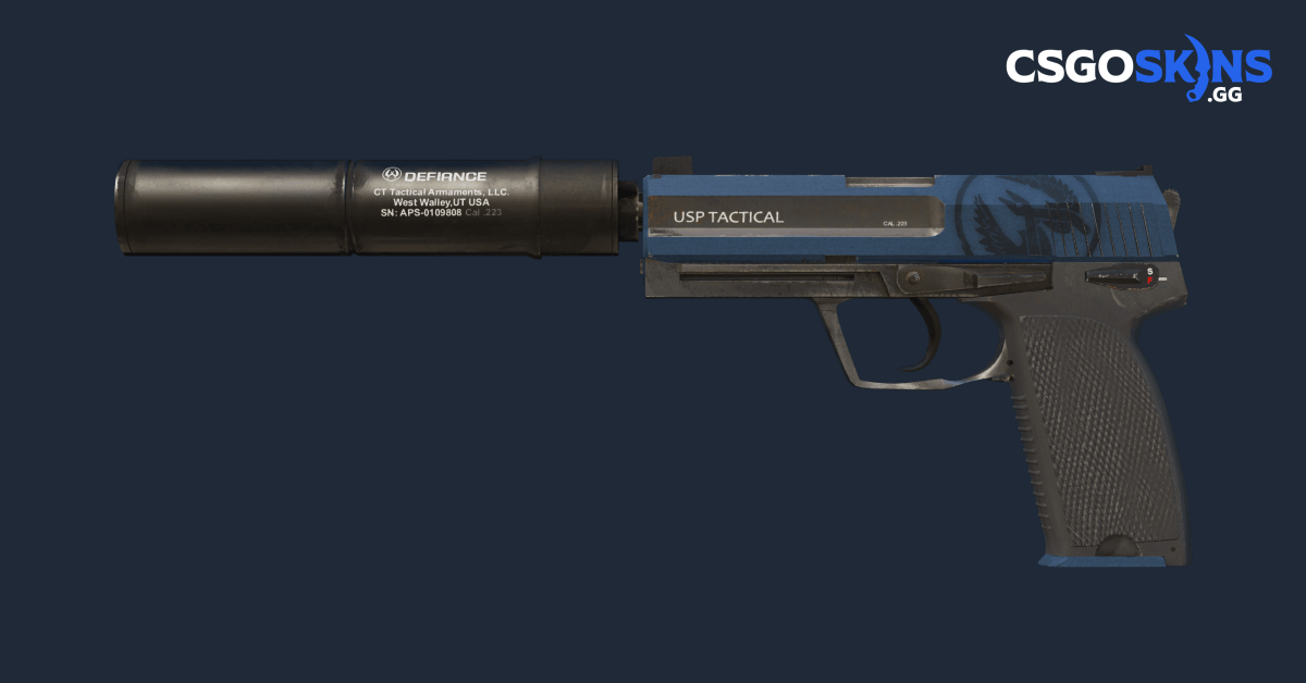 USP-S | Guardian - CSGOSKINS.GG