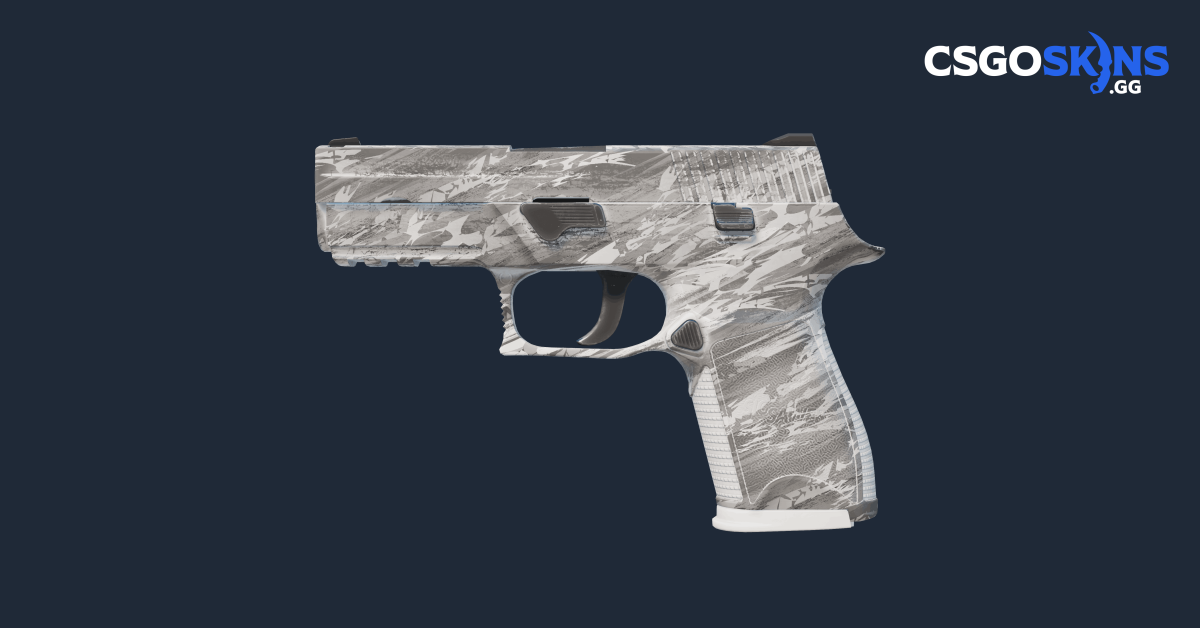P250 | Sleet - CSGOSKINS.GG