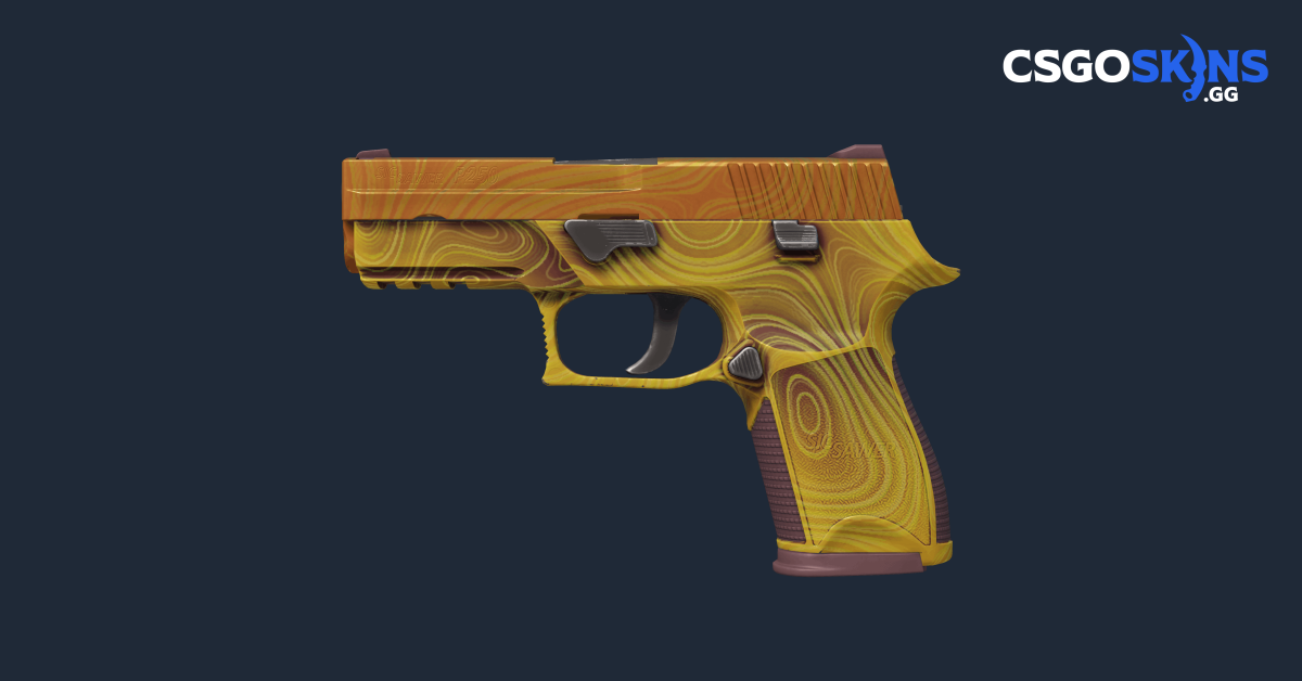 P250 | Sedimentary - CSGOSKINS.GG