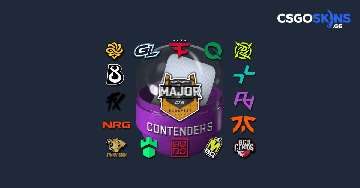 Budapest 2025 Contenders Sticker Capsule - CSGOSKINS.GG