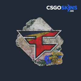 Sealed Graffiti | FaZe Clan | Rio 2022 - CSGOSKINS.GG