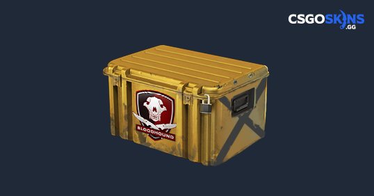 All Falchion Case Skins - CSGOSKINS.GG