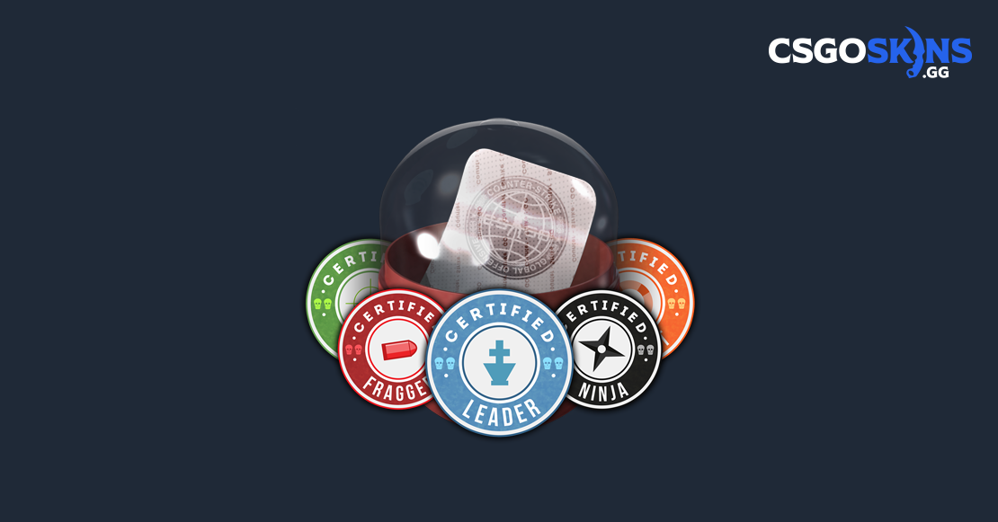 All Team Roles Capsule Stickers - CSGOSKINS.GG