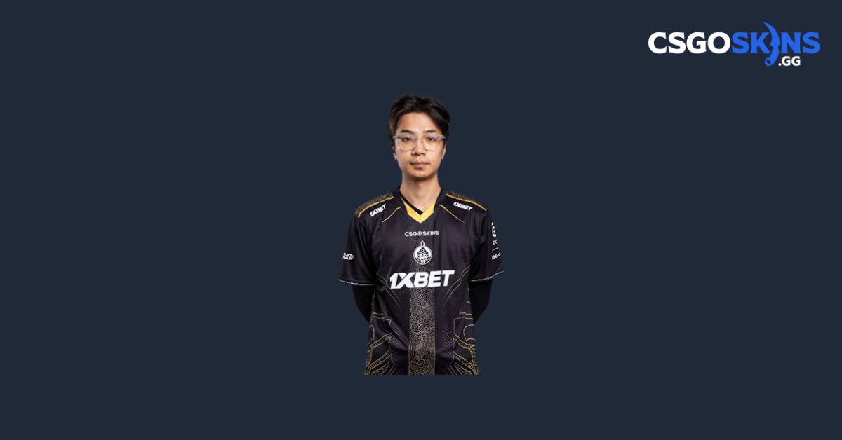 Techno4K CS2 Inventory - CSGOSKINS.GG