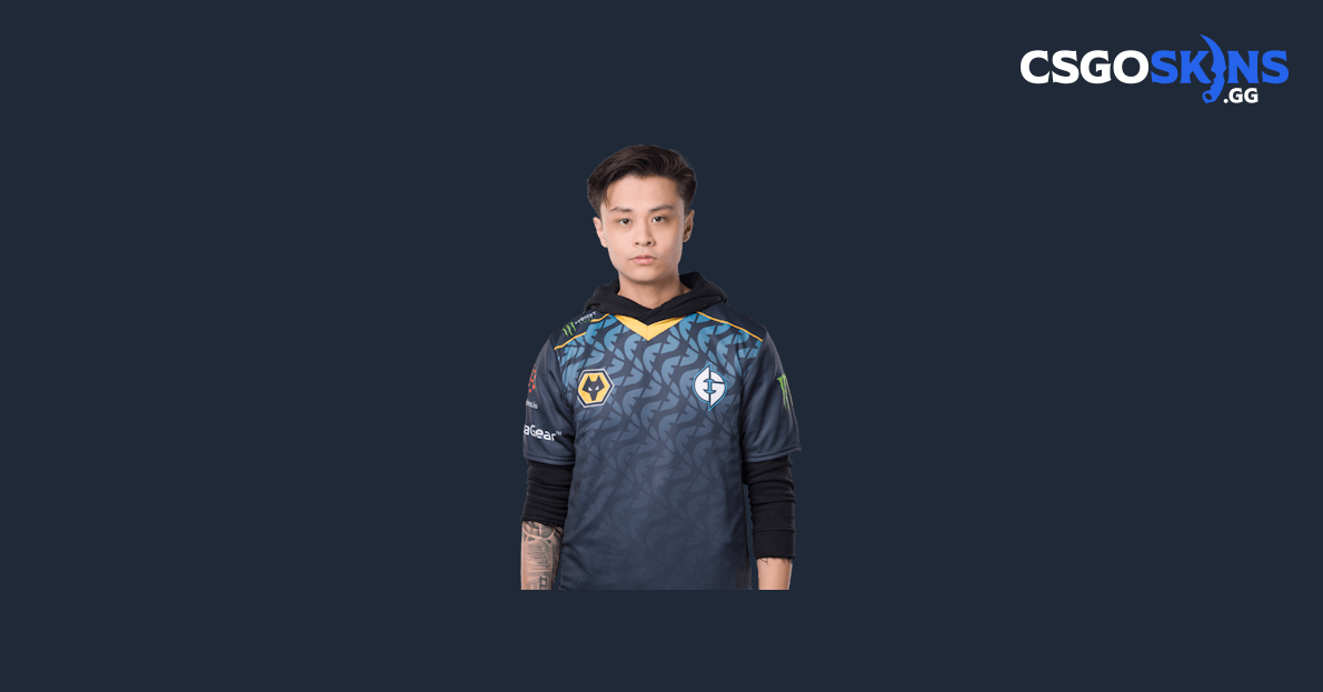 Stewie2K CS2 Inventory - CSGOSKINS.GG