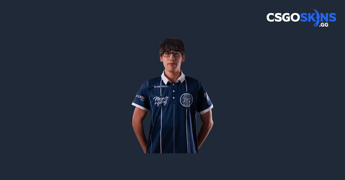 All Stickers From AZUWU - CSGOSKINS.GG