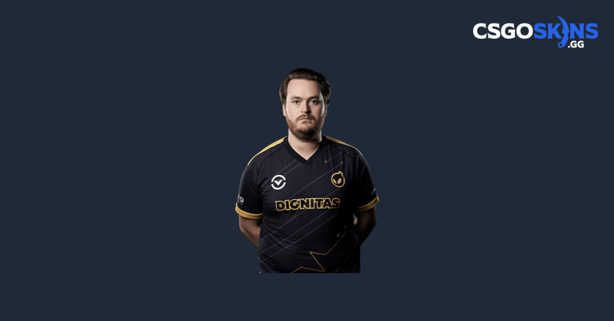 friberg CS2 Inventory - CSGOSKINS.GG