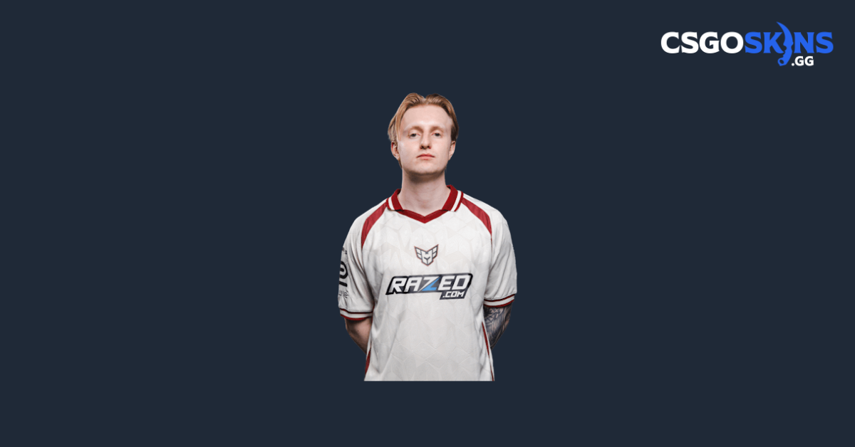LNZ CS2 Inventory - CSGOSKINS.GG