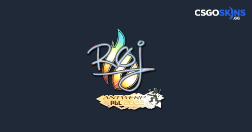 Sticker | roeJ (Holo) | Antwerp 2022 - CSGOSKINS.GG
