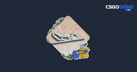 Sticker | CeRq | Rio 2022 - CSGOSKINS.GG