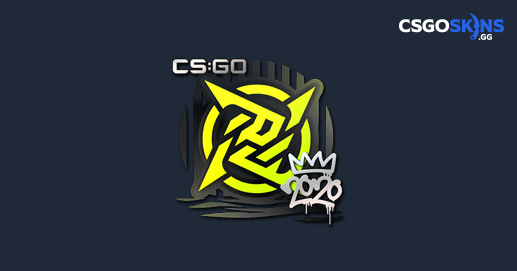 Sticker | Ninjas in Pyjamas | 2020 RMR - CSGOSKINS.GG