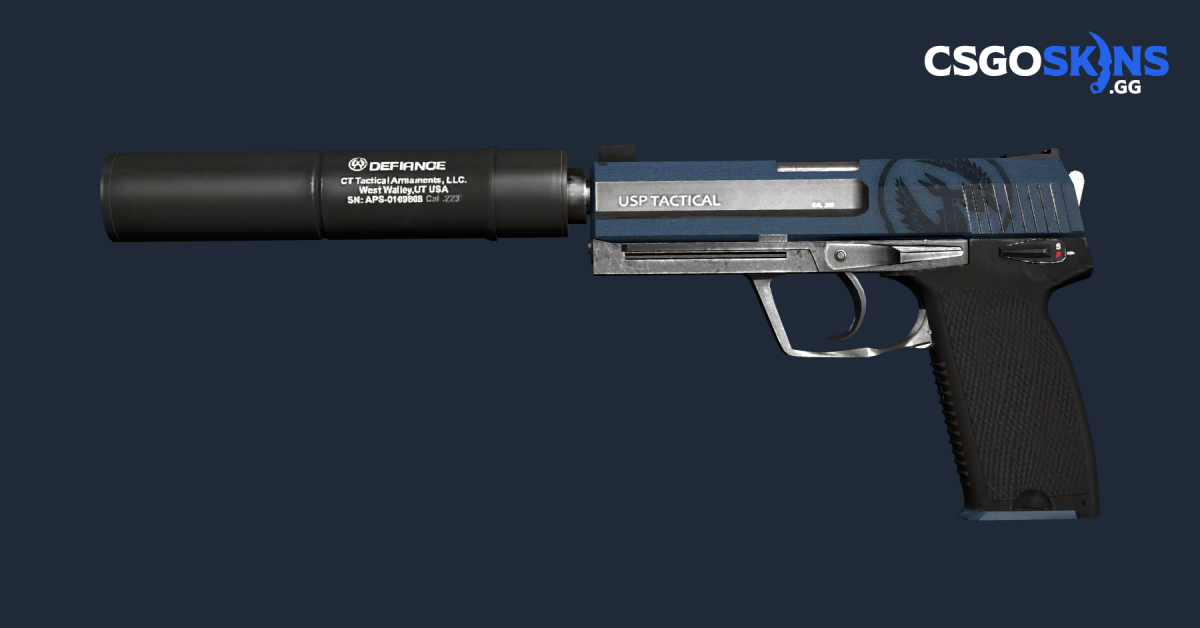 USP-S | Guardian - CSGOSKINS.GG