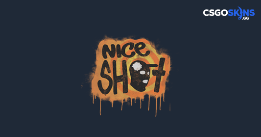 Sealed Graffiti | Nice Shot - CSGOSKINS.GG