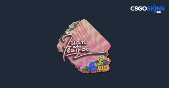 Sticker | juanflatroo | Rio 2022 - CSGOSKINS.GG