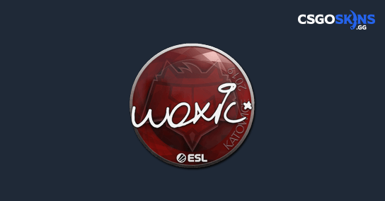 Sticker | woxic | Katowice 2019 - CSGOSKINS.GG