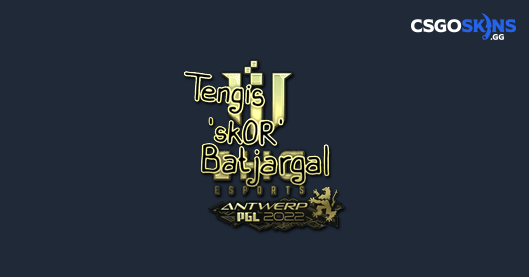 Sticker | sk0R (Gold) | Antwerp 2022 - CSGOSKINS.GG