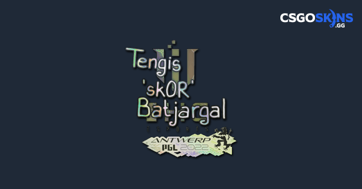 Sticker | sk0R (Holo) | Antwerp 2022 - CSGOSKINS.GG