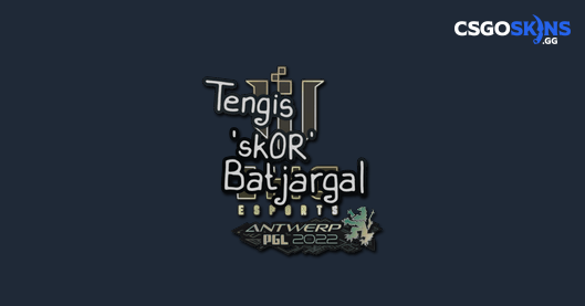 Sticker | sk0R | Antwerp 2022 - CSGOSKINS.GG