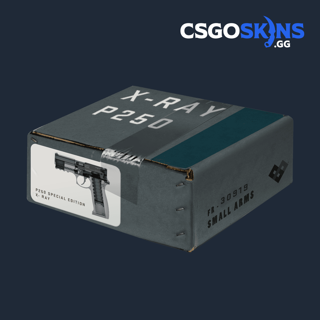 X-Ray P250 Package - CSGOSKINS.GG