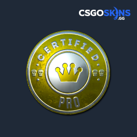 Sticker | The Pro (Foil) - CSGOSKINS.GG