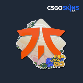 Sticker | Fnatic | Rio 2022 - CSGOSKINS.GG