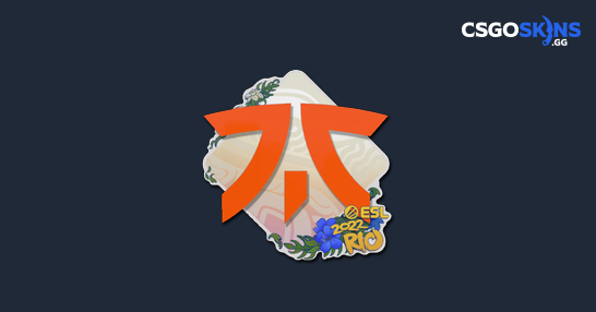 Sticker | Fnatic | Rio 2022 - CSGOSKINS.GG