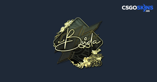 Sticker | BUDA (Gold) | Rio 2022 - CSGOSKINS.GG