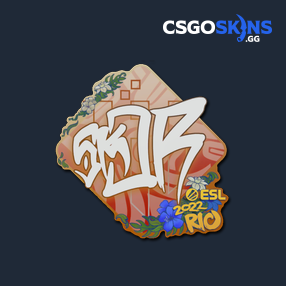 Sticker | sk0R | Rio 2022 - CSGOSKINS.GG