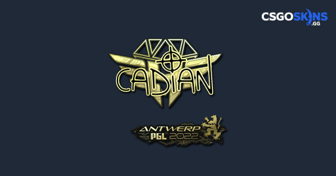 Sticker | cadiaN (Gold) | Antwerp 2022 - CSGOSKINS.GG