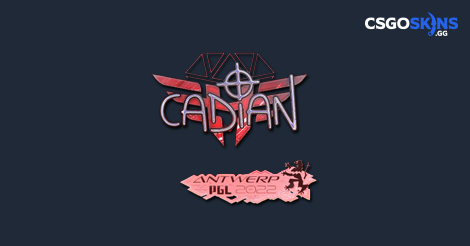 Sticker | cadiaN (Holo) | Antwerp 2022 - CSGOSKINS.GG