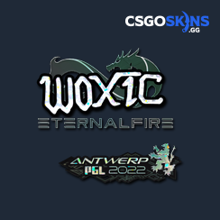 Sticker | woxic (Glitter) | Antwerp 2022 - CSGOSKINS.GG