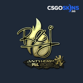 Sticker | roeJ (Gold) | Antwerp 2022 - CSGOSKINS.GG