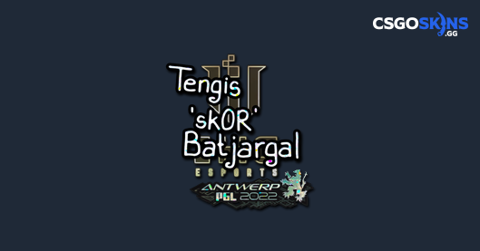Sticker | sk0R (Glitter) | Antwerp 2022 - CSGOSKINS.GG