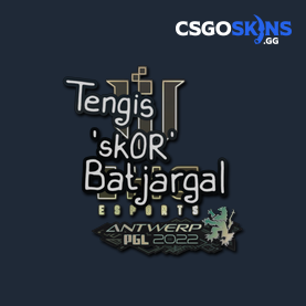 Sticker | sk0R | Antwerp 2022 - CSGOSKINS.GG