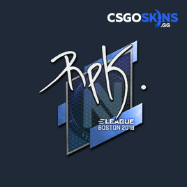 Sticker | RpK | Boston 2018 - CSGOSKINS.GG