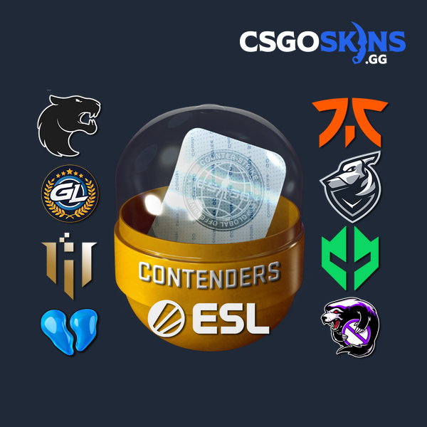 Rio 2022 Contenders Sticker Capsule - CSGOSKINS.GG