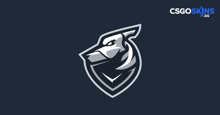 vexite CS2 Inventory - CSGOSKINS.GG