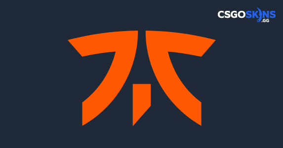 All Fnatic Stickers - CSGOSKINS.GG