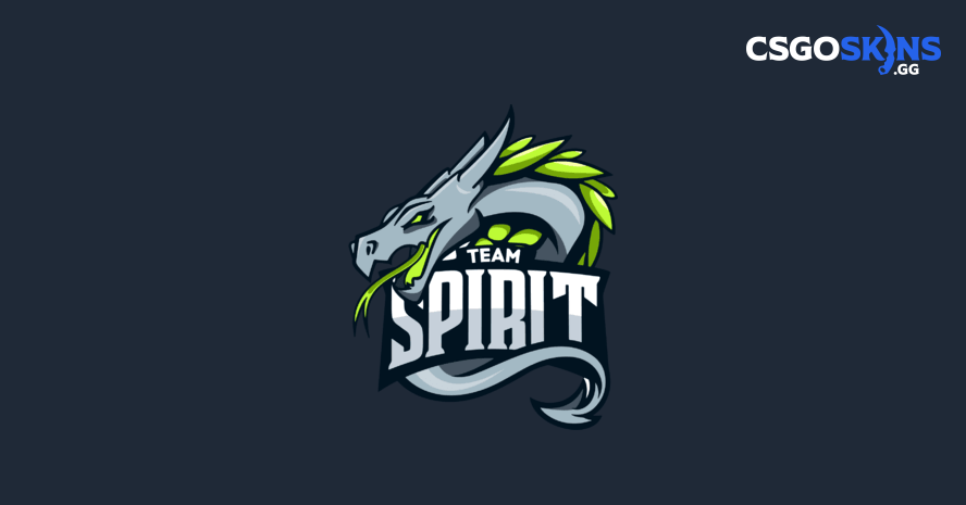 magixx CS2 Inventory - CSGOSKINS.GG